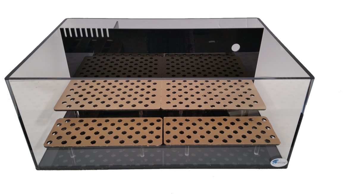 REF# FT556 - 3/4" Thick Rimless AIO Frag tank with staggered racks (op ...